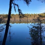 Batona Trail, New Jersey - 322 Reviews, Map | AllTrails