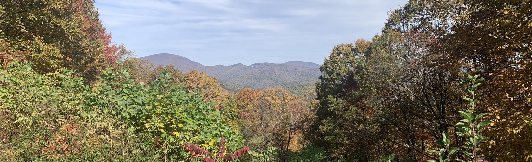 Chestatee Overlook Ridge Trail, Georgia - 13 Reviews, Map | AllTrails