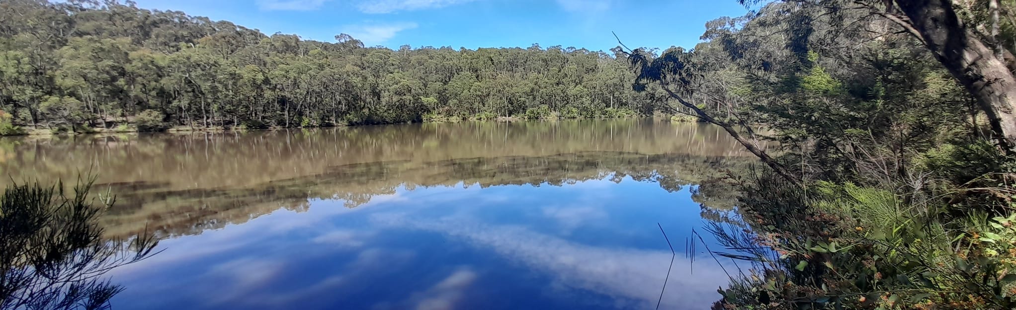 Moondarra North Loop, Victoria, Australia - 3 Reviews, Map | AllTrails