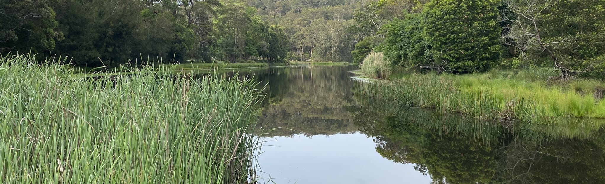 Grays Point to Bundeena via Saddle Gully Track, New South Wales ...