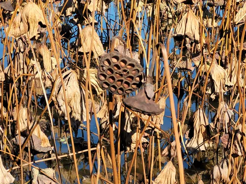 Best Hikes and Trails in Adams Lake State Park | AllTrails