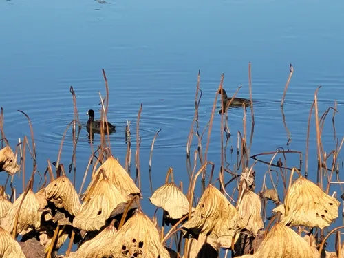 Best Hikes and Trails in Adams Lake State Park | AllTrails