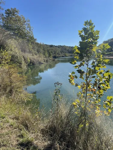 Best Hikes and Trails in Dripping Springs | AllTrails