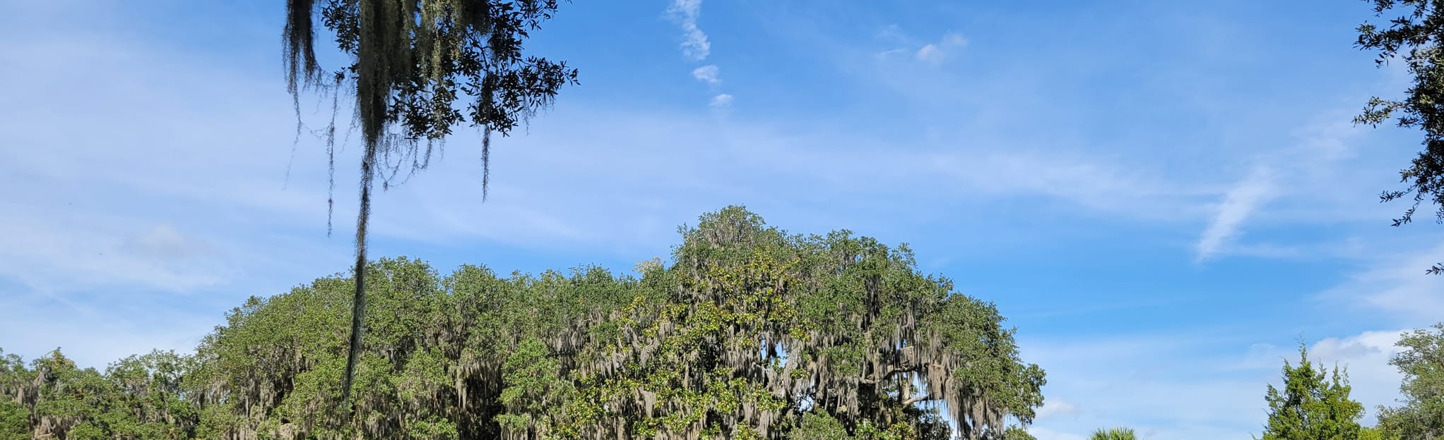 Camp Saxton Fort Frederick Trail, South Carolina - 8 Reviews, Map ...