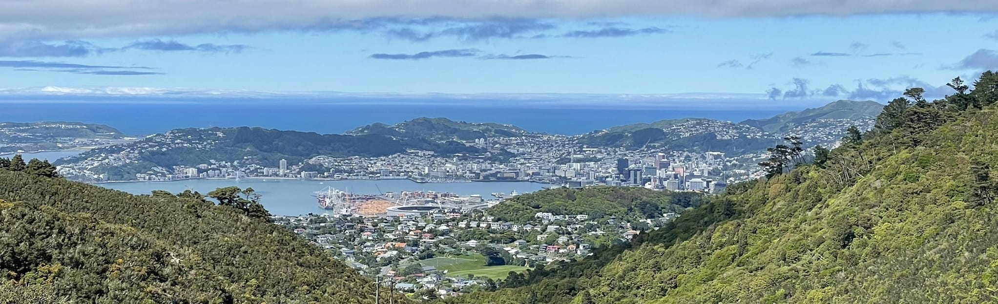 Otari Wilton Bush to Kaukau via Skyline Walkway, Wellington, New ...