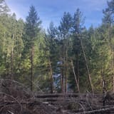 Marble River Trail , British Columbia, Canada - 146 Reviews, Map ...