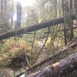 Marble River Trail , British Columbia, Canada - 146 Reviews, Map ...