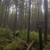 Marble River Trail , British Columbia, Canada - 146 Reviews, Map ...