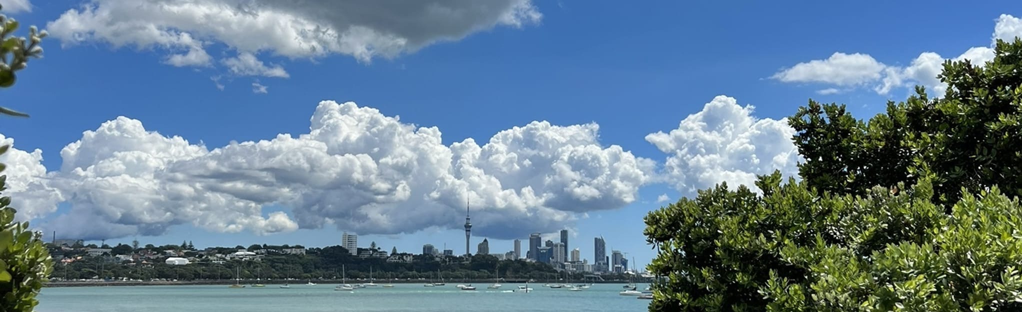 Mission Bay to Wynyard Quarter Path, Auckland, New Zealand - 80 Reviews ...