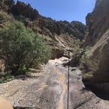 Box Canyon OHV Trail, Arizona - 546 Reviews, Map | AllTrails
