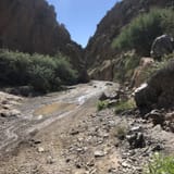 Box Canyon OHV Trail, Arizona - 546 Reviews, Map | AllTrails