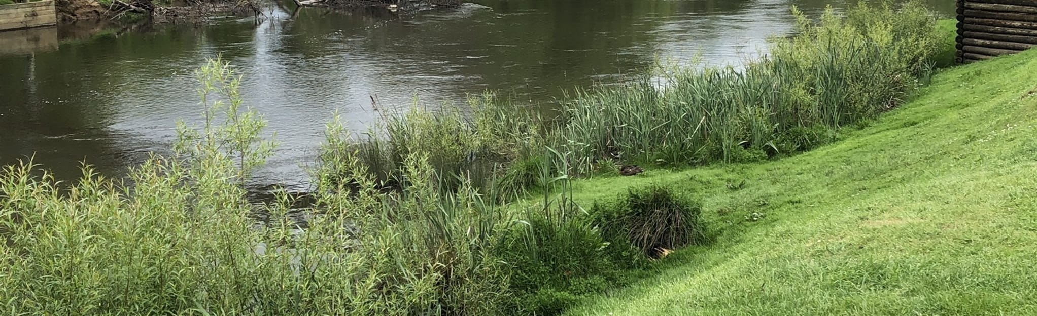 Meander River Loop: 31 Reviews, Map - Tasmania, Australia | AllTrails