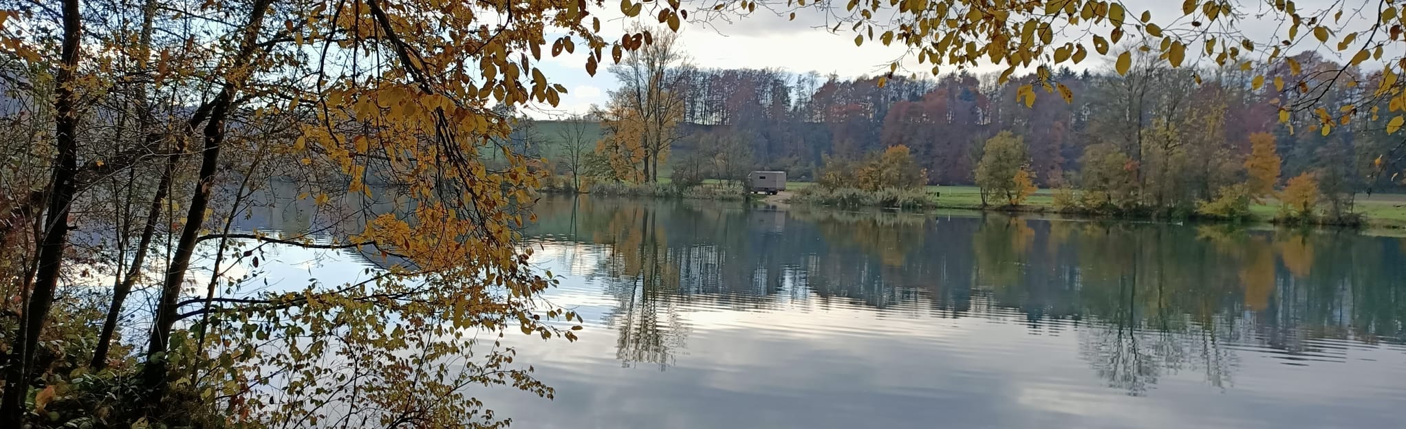 Berken beim Aare, Bern, Switzerland - 29 Reviews, Map | AllTrails