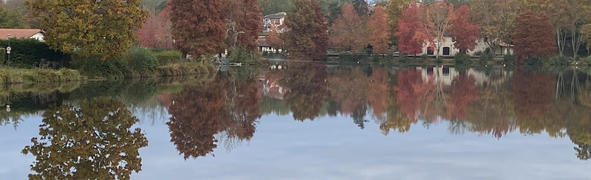 Promenade du Lac de Christus: 32 Reviews, Map - Landes, France | AllTrails
