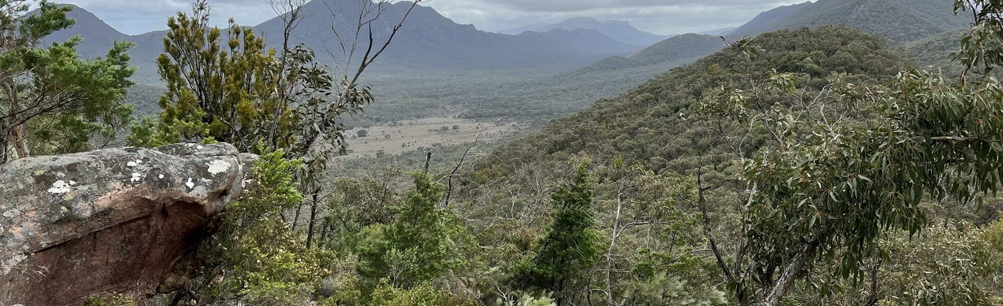 Grampians Peak Trail: Section S1 - Yarram Gap to Wannon, Victoria ...