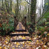 Red Town and Wildside Trails, Washington - 561 Reviews, Map | AllTrails
