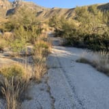 Salt Basin Overlook via El Capitan Trail, Texas - 44 Reviews, Map ...