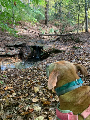 Best Hikes and Trails in Dunkirk District Park | AllTrails