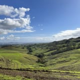 Timberhill Park Trail, California - 215 Reviews, Map | AllTrails