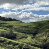 Timberhill Park Trail, California - 215 Reviews, Map | AllTrails