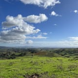 Timberhill Park Trail, California - 215 Reviews, Map | AllTrails