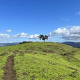Timberhill Park Trail, California - 215 Reviews, Map | AllTrails