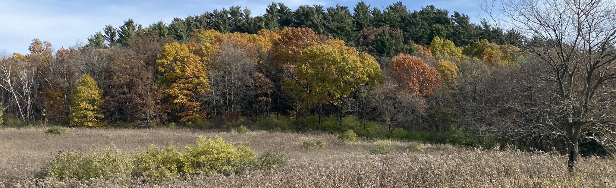 Ice Age Trail: Gibraltar Rock Segment: 402 Reviews, Map - Wisconsin ...