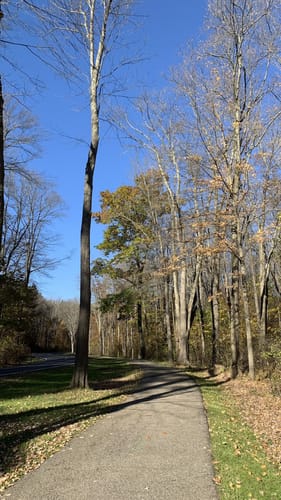 Best 10 Hikes and Trails in South Chagrin Reservation | AllTrails