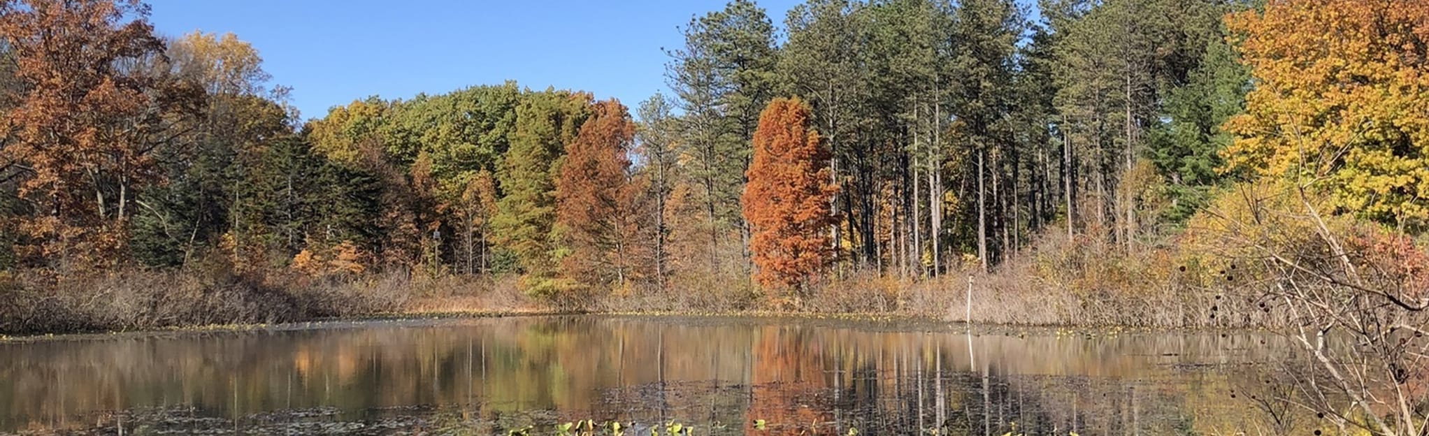 Old Valley and Highlights Trail Loop, 166 Fotos - Ohio | AllTrails