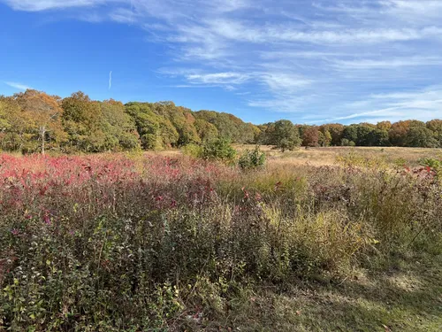 Best Hikes and Trails in Mashomack Preserve | AllTrails