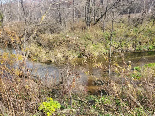 2023 Best Paved Trails in Red Wing | AllTrails