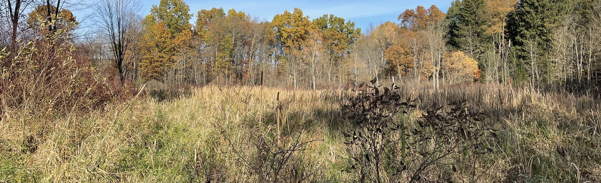 Lake Lansing North Trail, 424 Fotos - Michigan | AllTrails