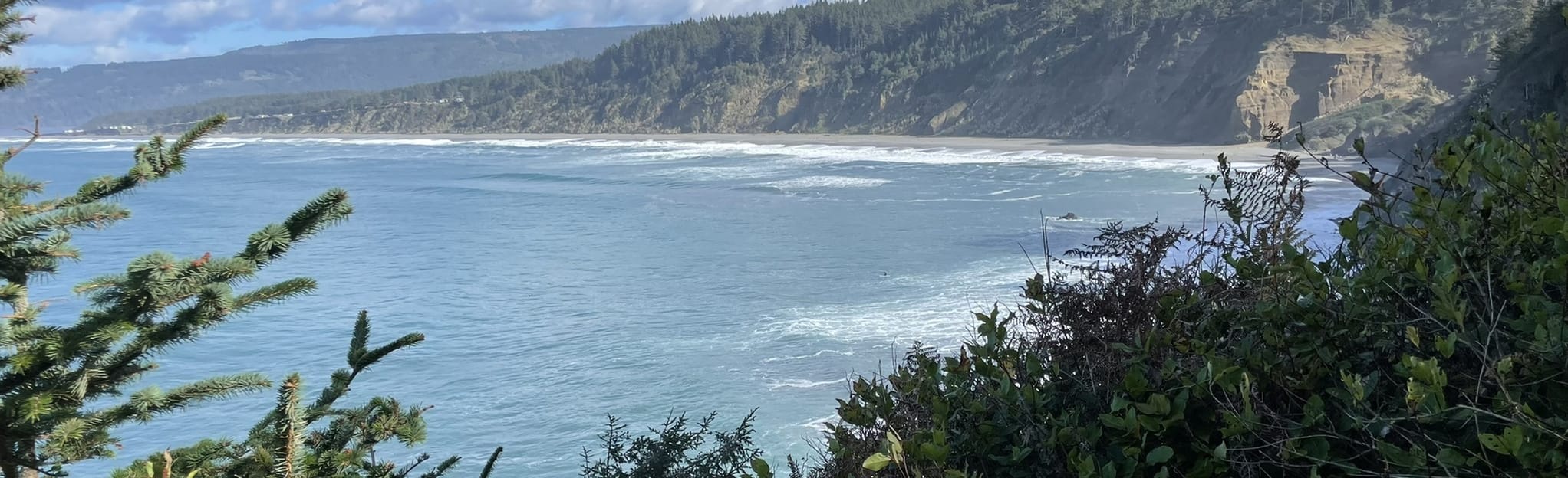 Patrick's Point Rim Trail, California - 383 Reviews, Map | AllTrails