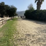 Bette Davis Picnic Area Walk, California - 34 Reviews, Map | AllTrails