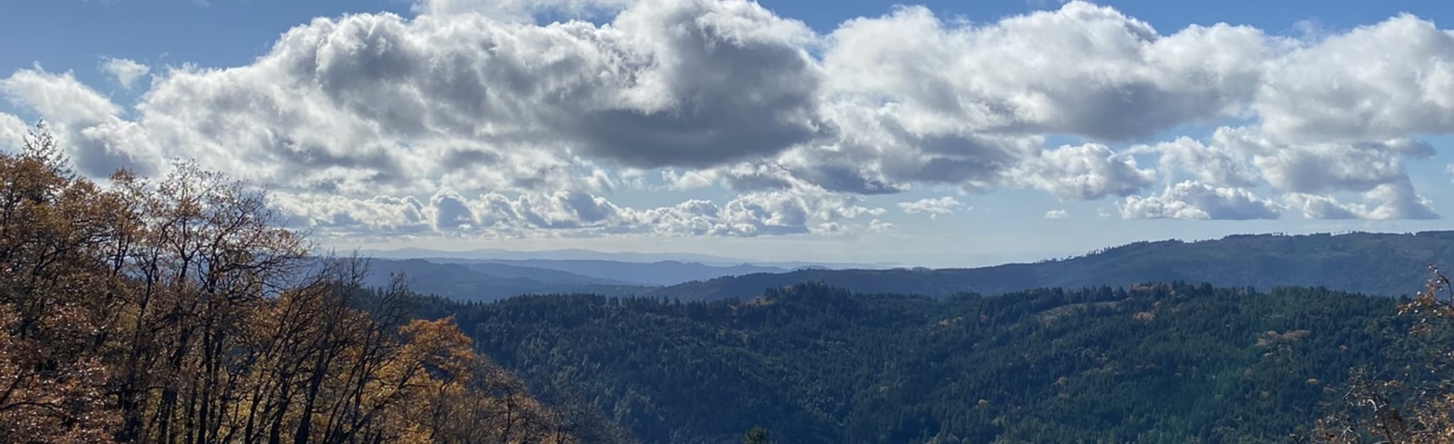 Beaver Ridge and Prairie Trails: 11 Reviews, Map - California | AllTrails