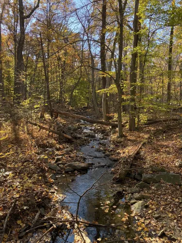 Best Hikes and Trails in Big Spring State Park | AllTrails