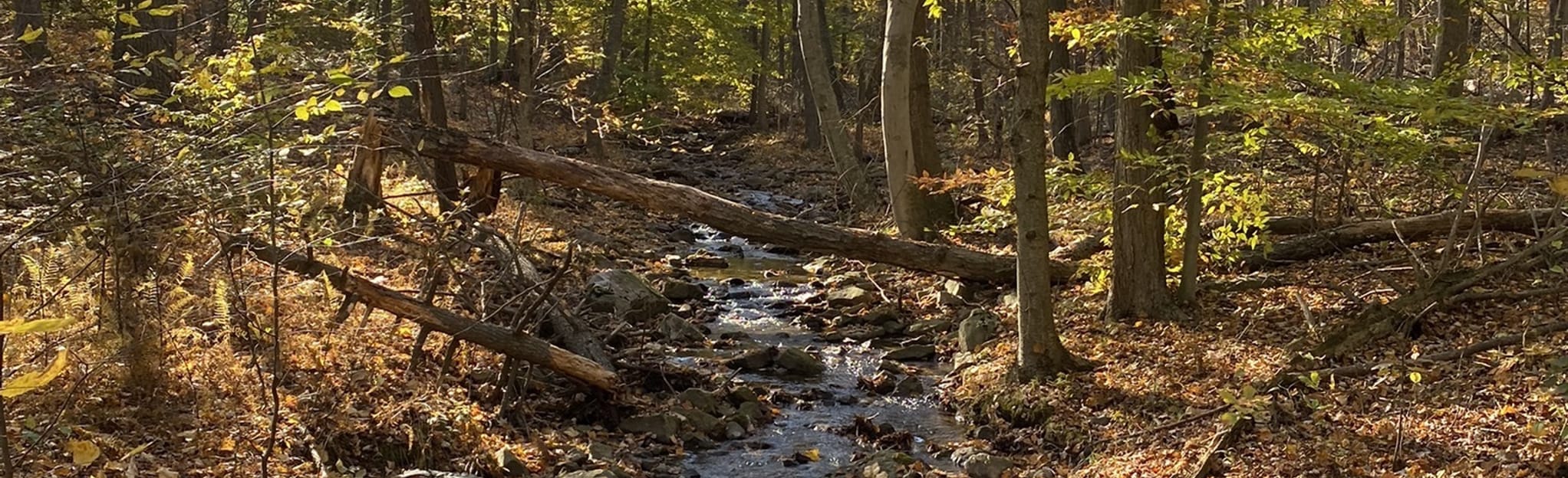 AllTrails | Iron Horse Trail: 17 Reviews, Map - Pennsylvania