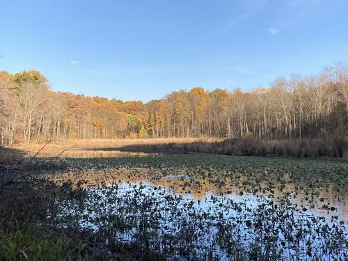 Best Lake Trails in Vandalia | AllTrails