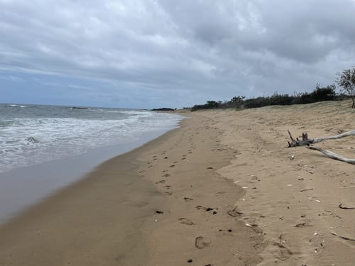 Best Hikes and Trails in Deepwater National Park | AllTrails