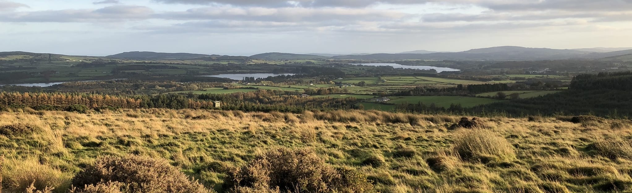 Ballinastoe Woods, White Hill, and Djouce Mountain, County Wicklow ...