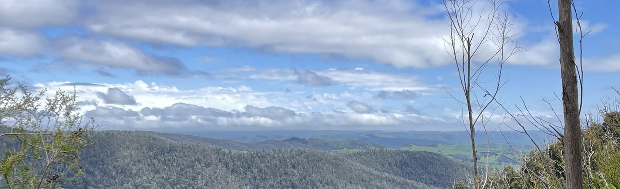 Murrindindi River Walk, Wilhelmina Falls, and Booroondara Track: 176 ...