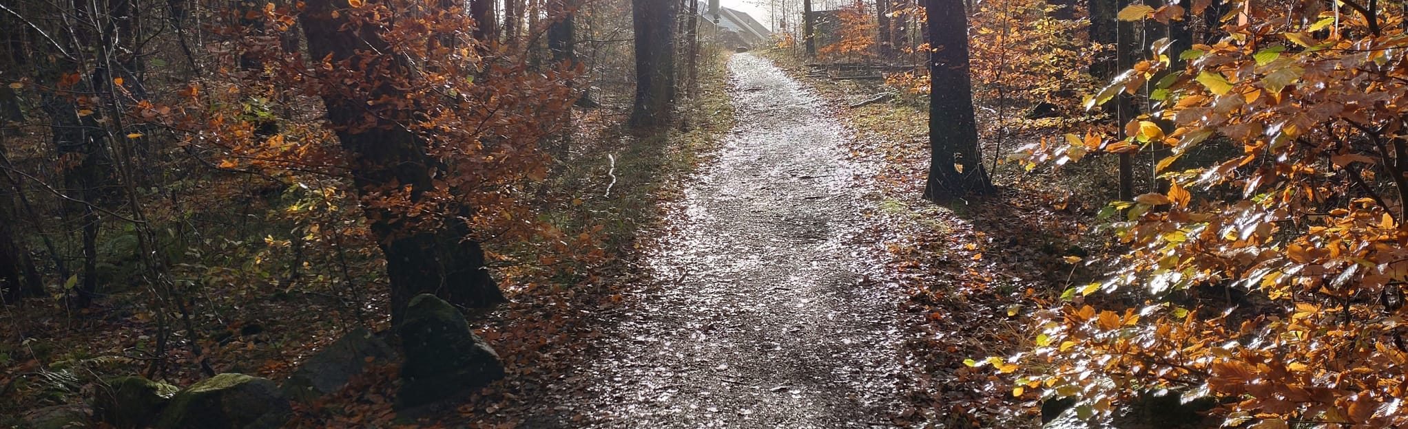 Yellow Trail (Hisingsparken): 27 Reviews, Map - Västra Götaland, Sweden ...