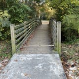 Wellston Trail, Georgia - 177 Reviews, Map | AllTrails