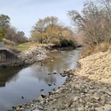 Bill Riley Trail, Iowa - 266 Reviews, Map | AllTrails