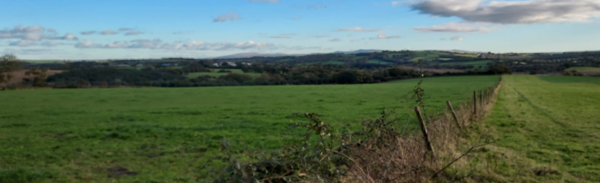 Sheepwash and Black Torrington Circular, Devon, England - 13 Reviews ...