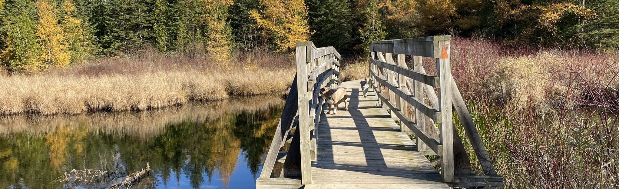 Mill Creek Loop Trail : 137 Reviews, 496 Photos, Map - Ontario, Canada ...
