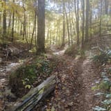 Chadwick OHV Trail, Missouri - 40 Reviews, Map | AllTrails