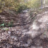 Chadwick OHV Trail, Missouri - 40 Reviews, Map | AllTrails