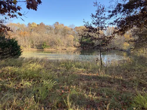 Best Hikes and Trails in Blue & Gray Park Preserve | AllTrails