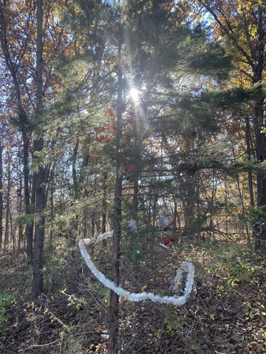 2023 Best Wild Flowers Trails in Lone Jack | AllTrails